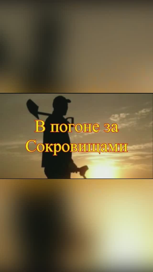 Случай на копе: птичку жалко #Shorts