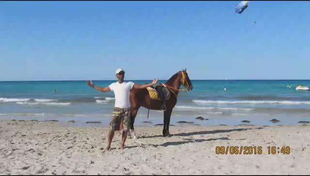 Пляж  отель Ksar Djerba 3 (Тунис Джерба) июнь 2016