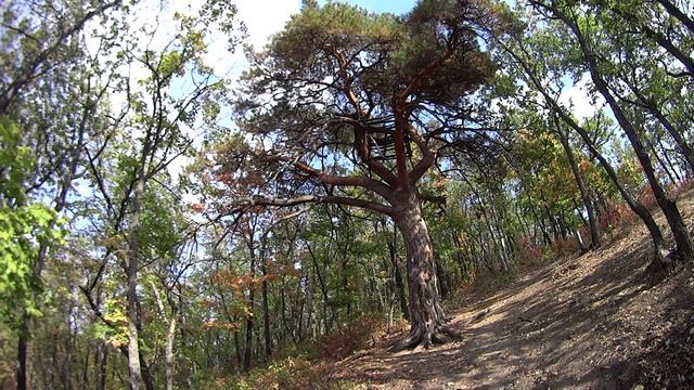 2024_09_18 1455_1471 Кудеярова пещера