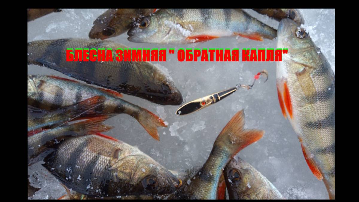 Блесна зимняя на окуня и судака " ОБРАТНАЯ КАПЛЯ"