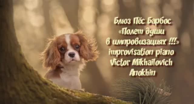«Блюз Пёс Барбос!» improvisation piano Victor Mikhailovich Anokhin.mp4