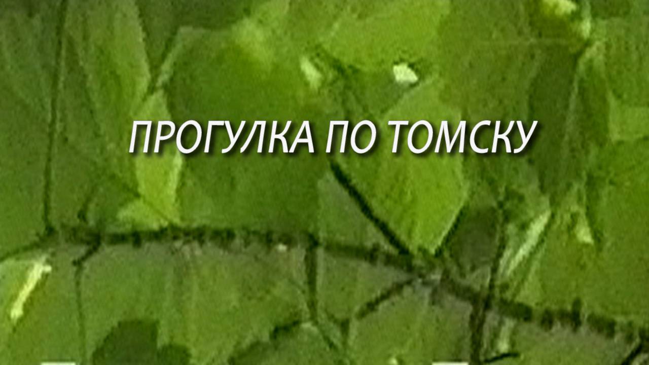 Прогулка по Томску, 1998