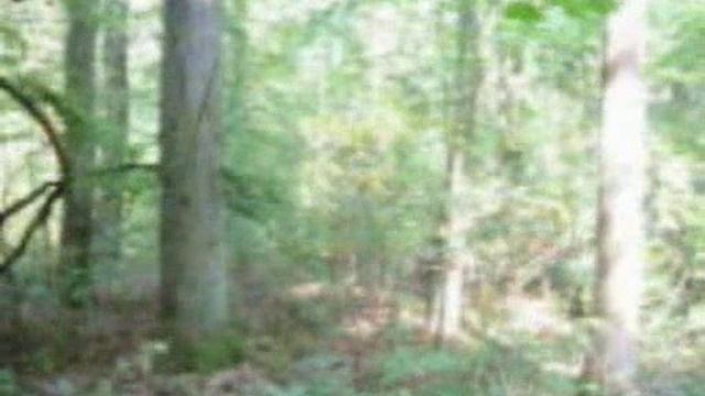 2008 Сенmябрь Мама я