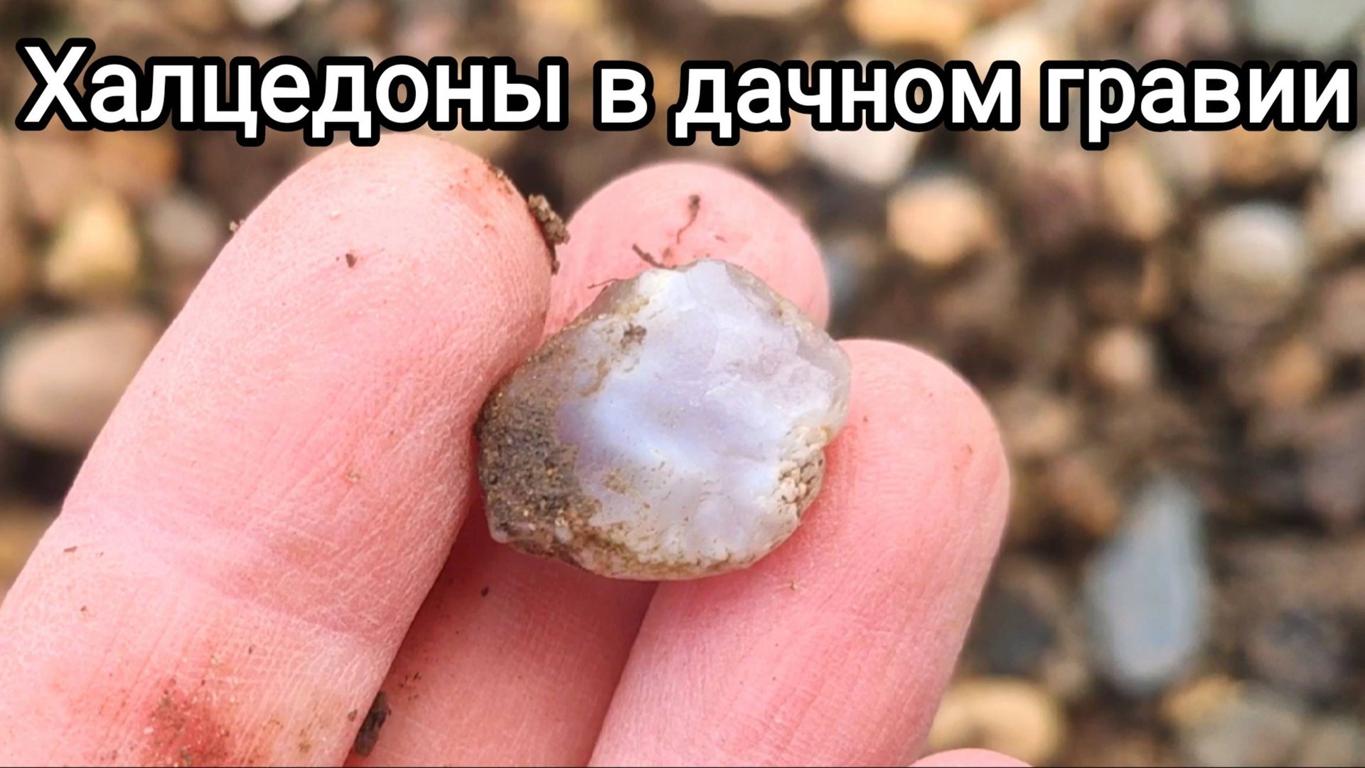 Собираем красивые камни на даче: халцедоны, кремни, кварцы, брахиоподы. Неместные камни