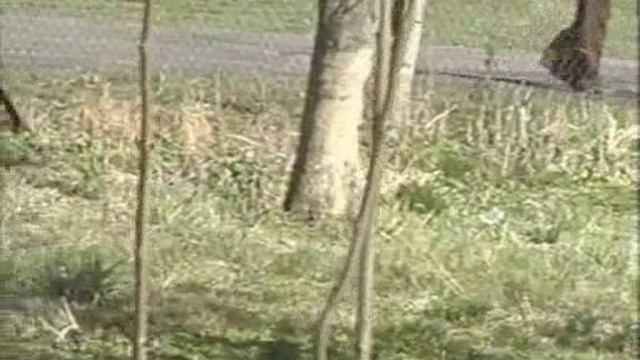 2008 Март Мама я