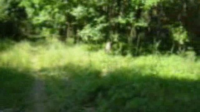 2008 Июнь Мама я