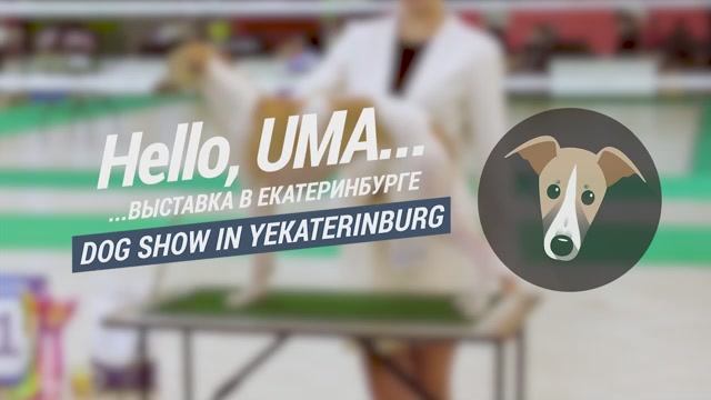 Hello Uma на выставке / Екатеринбург