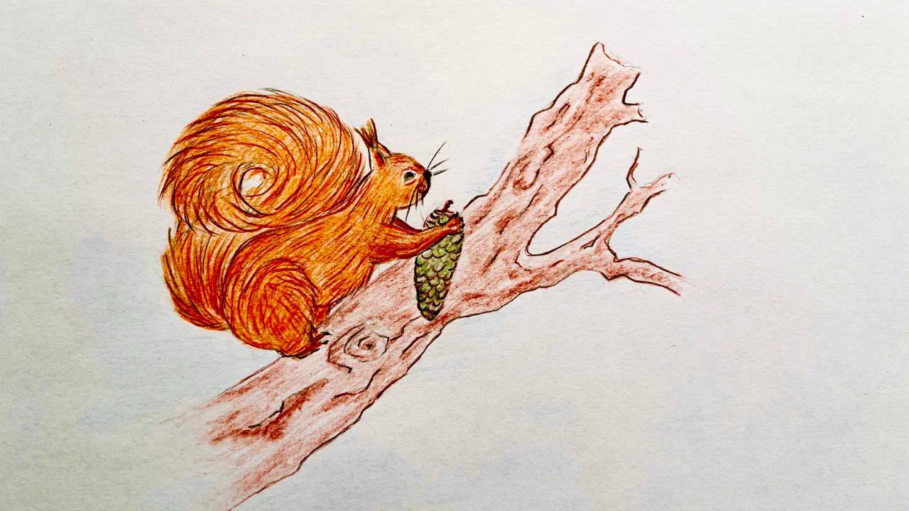 Готовятся к зиме / В. Бианки