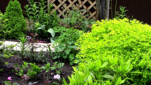 А какая была сочная зелень!