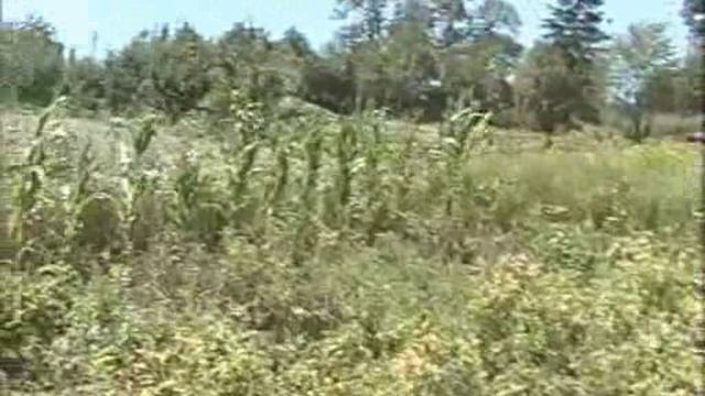 2007 Июль Мама я