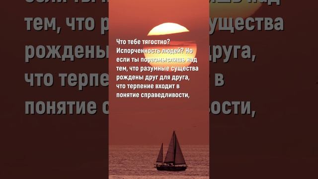Цитаты | Наедине с собой. Размышления | Марк Аврелий. #мудрость #цитаты #книги #стоицизм #shorts