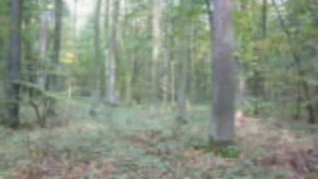 2008 Октябрь Мама я