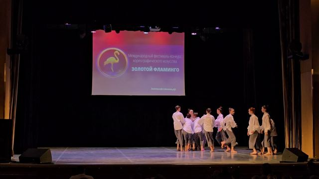 2024.11.24. Золотой фламинго. Сбой.mp4