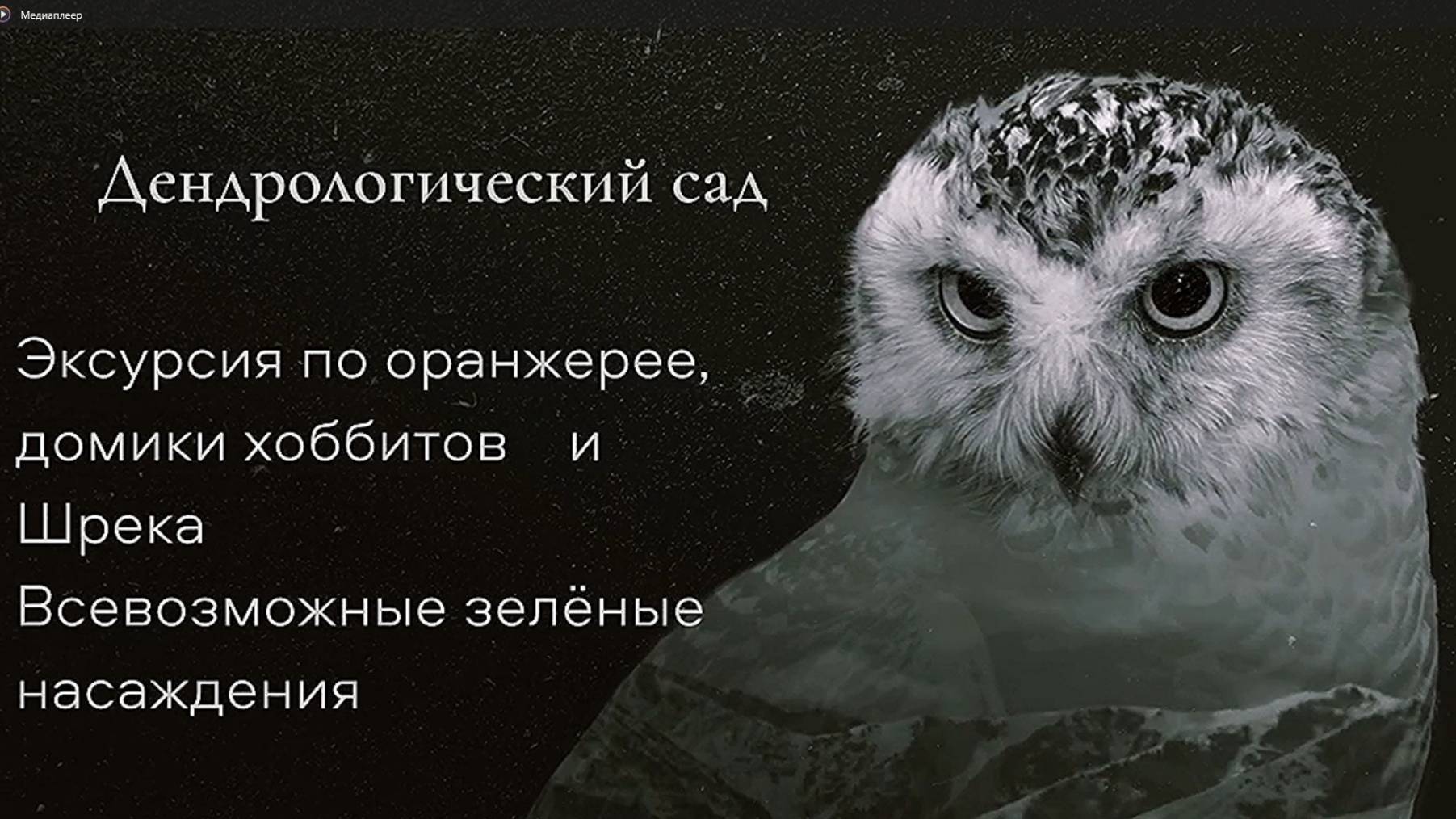 Суводский лесотехникум. Дрендросад. Советский район. Вятка.