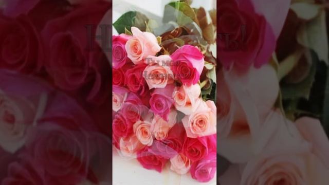 ТЫ МОЁ СЧАСТЬЕ ❤️ Музыкальная открытка с нежными и милыми для СЕРДЦА❤️ словами