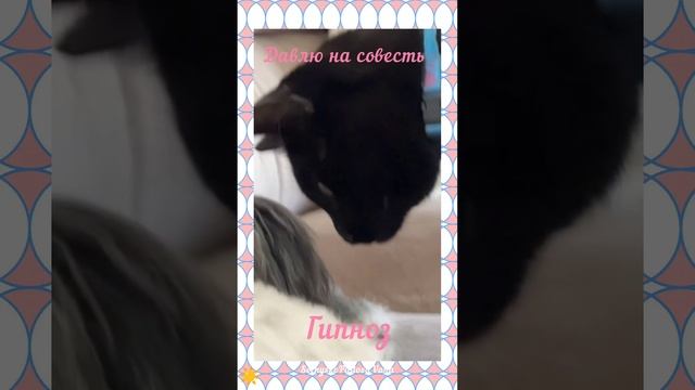 Узнала себя 😉порою так выбешивают мужчины 🙃😵💫🤯