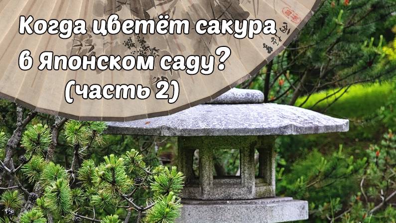 Экскурсия: Японский сад Главного Ботанического сада РАН в Москве (часть 2)