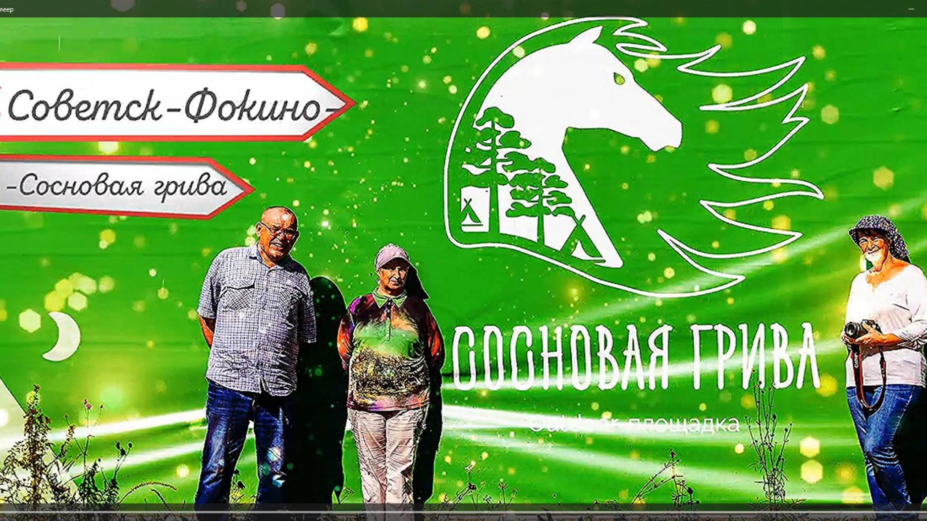 Советск-Фокино. Сосновая грива. Вятка.