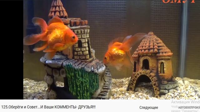 сюж 125 оберег и совет