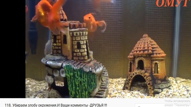сюж 118 убираем злобу окружения