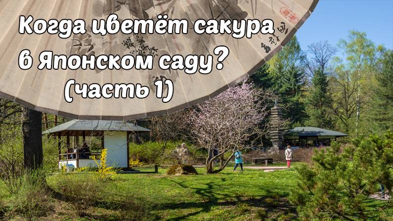 Экскурсия: Японский сад Главного Ботанического сада РАН в Москве (часть 1)