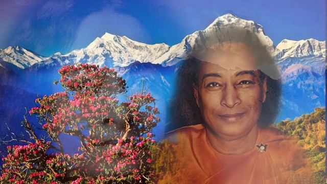 Созерцая Единого во всём. Часть 2. Парамханса Йогананда