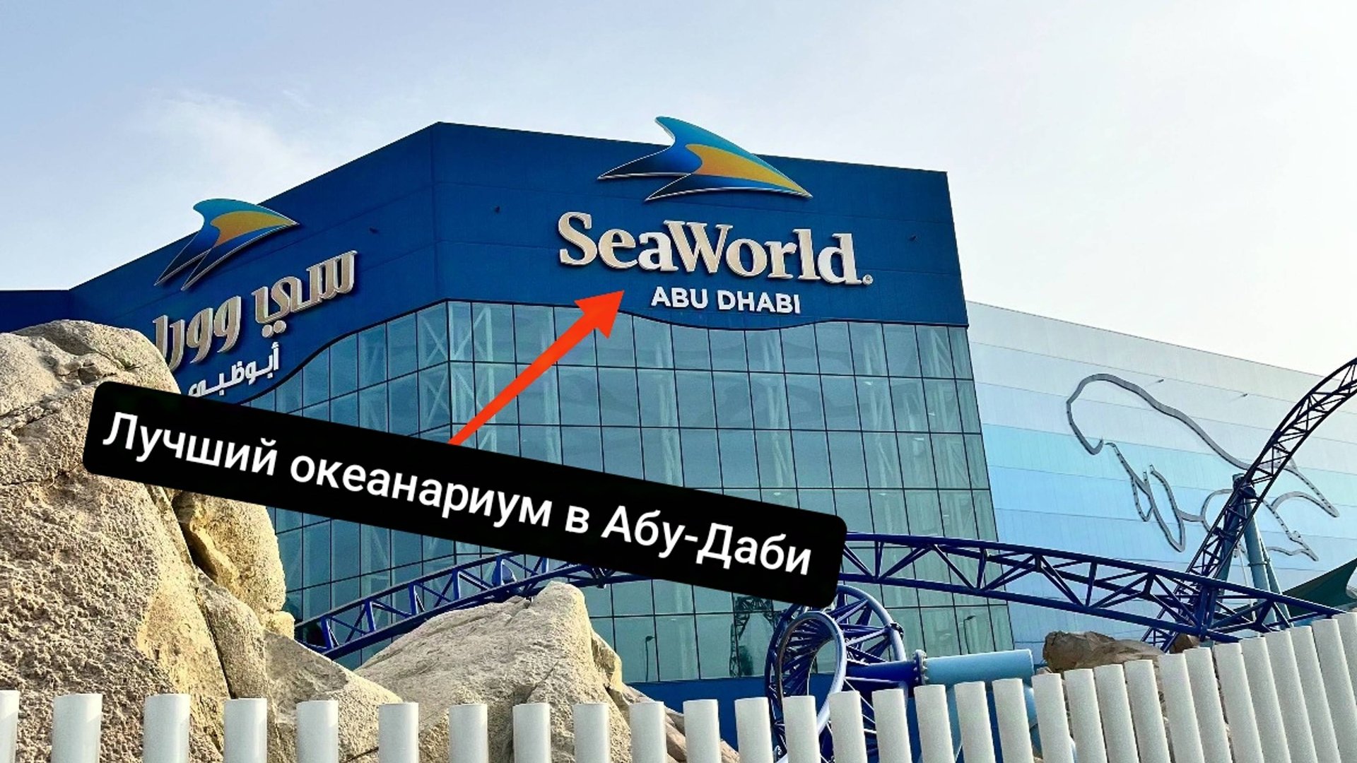Морской парк SeaWorld в Абу-Даби.