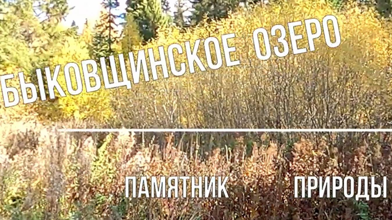 Быковщинское озеро. Советский район. Вятка.