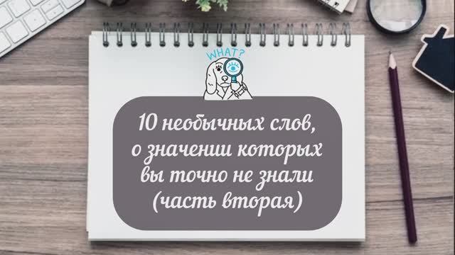 Мини-викторина «10 необычных слов, о значении которых вы точно не знали» (часть 2)