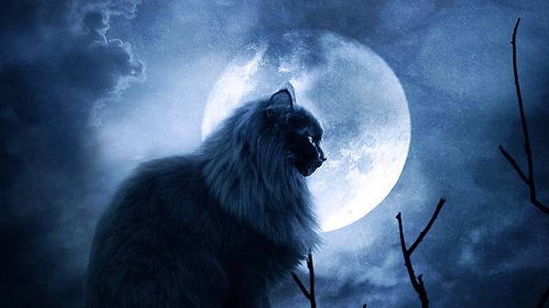 К Персеидам