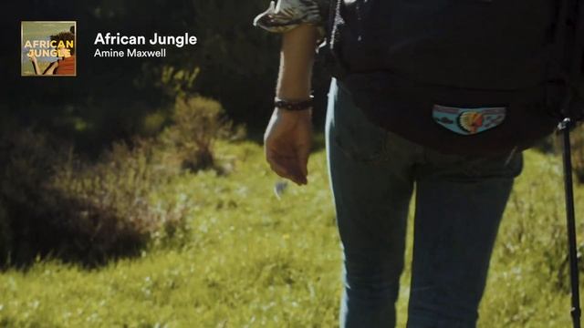 African Jungle - Amine Maxwell (No Copyright Music)   Release Preview