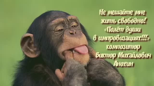МУЗЫКА «Не мешайте мне жить свободно-V2» R&B improvisation piano Victor Mikhailovich Anokhin