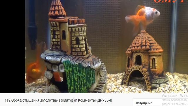 сюж 119 обряд отмщения