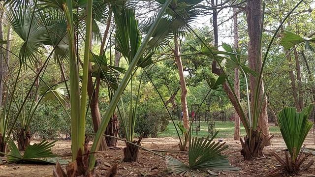 Объяснение медитации "Призыв Фиолетового Пламени для гармонизации ситуации"