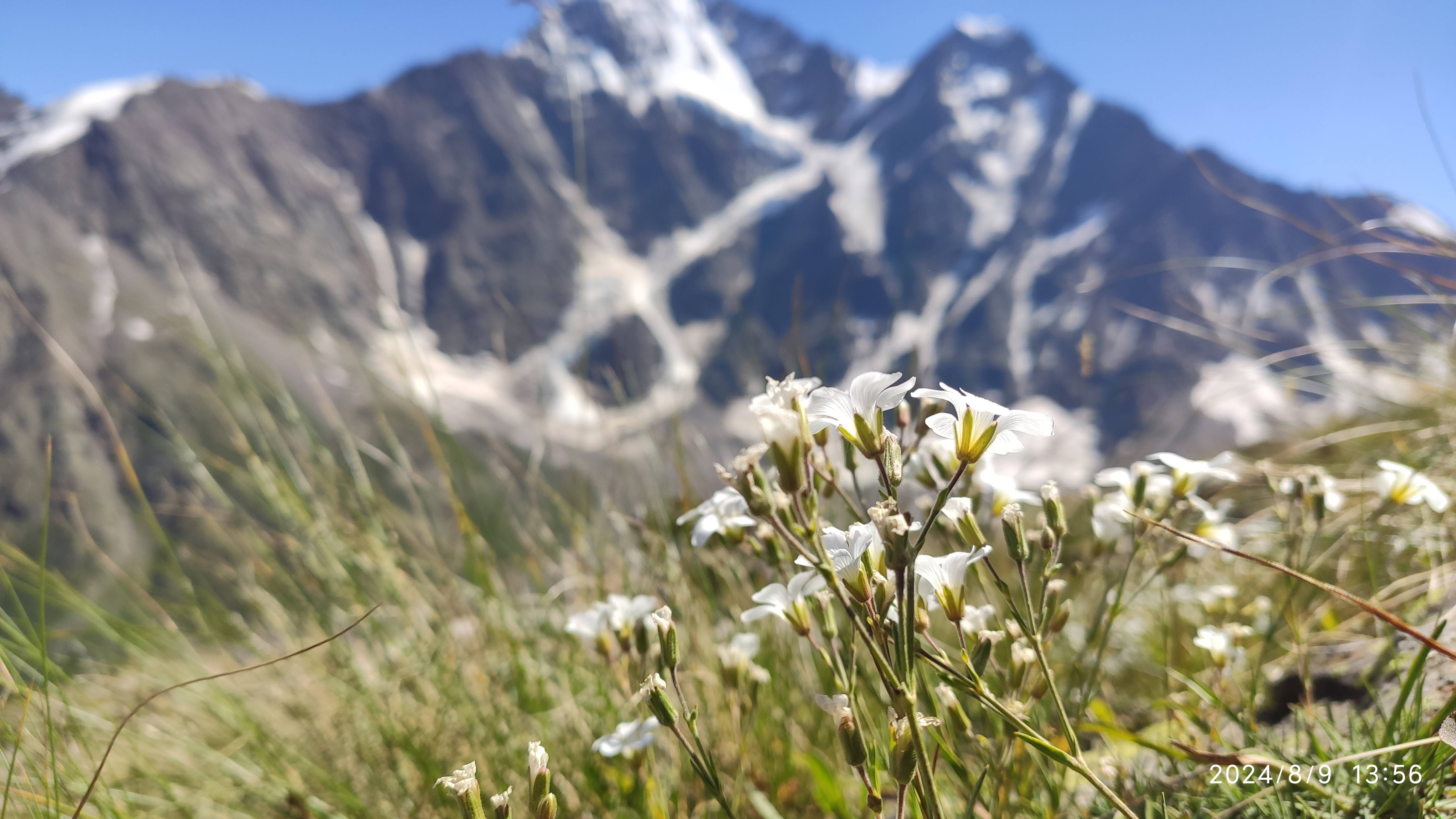 Подъем на Эльбрус.