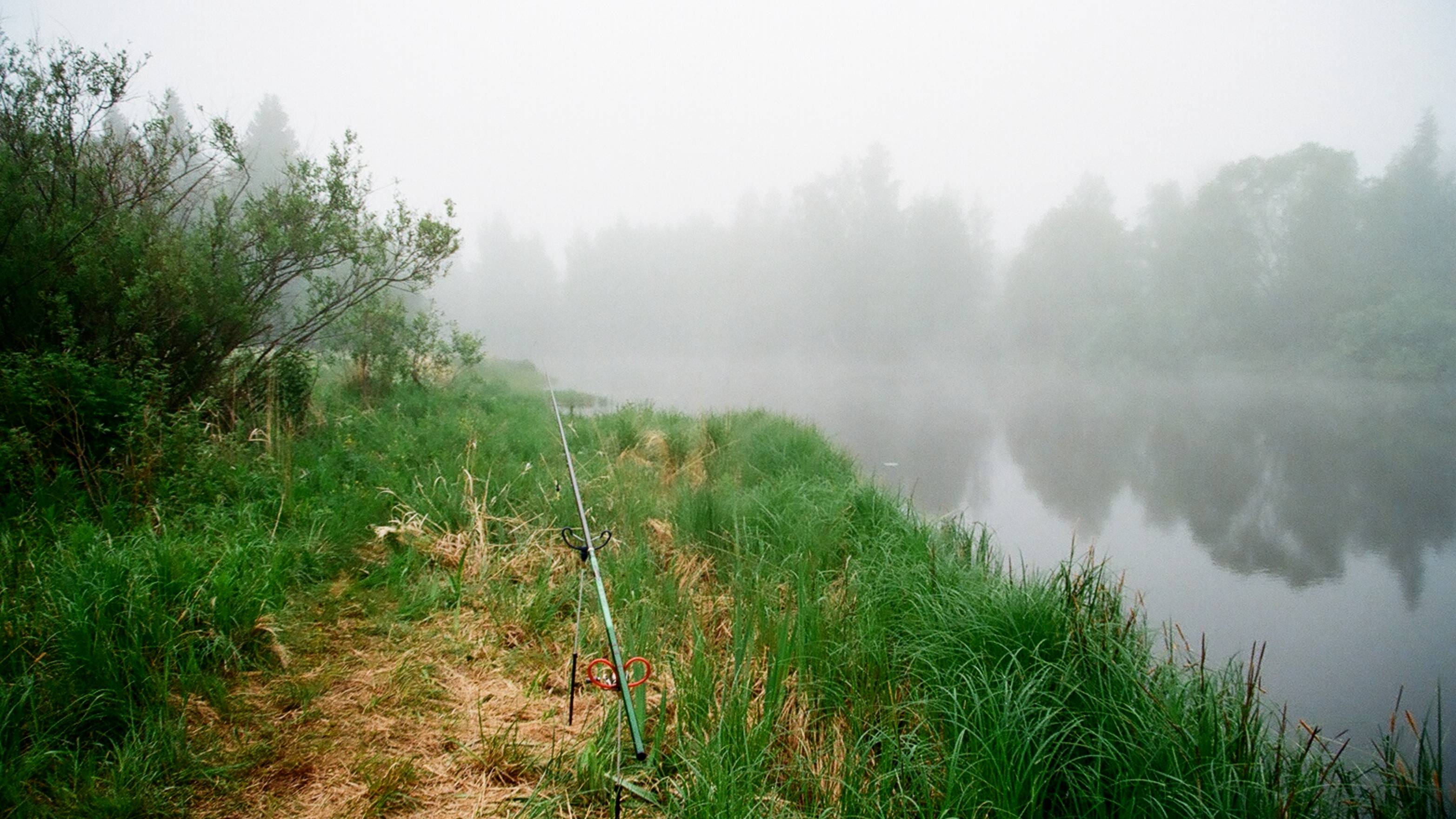 Музыка для сна и отдыха "Мечты"