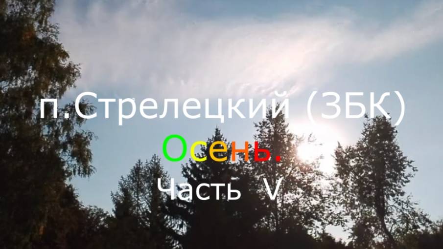 п.Стрелецкий (ЗБК) Осень. Часть V