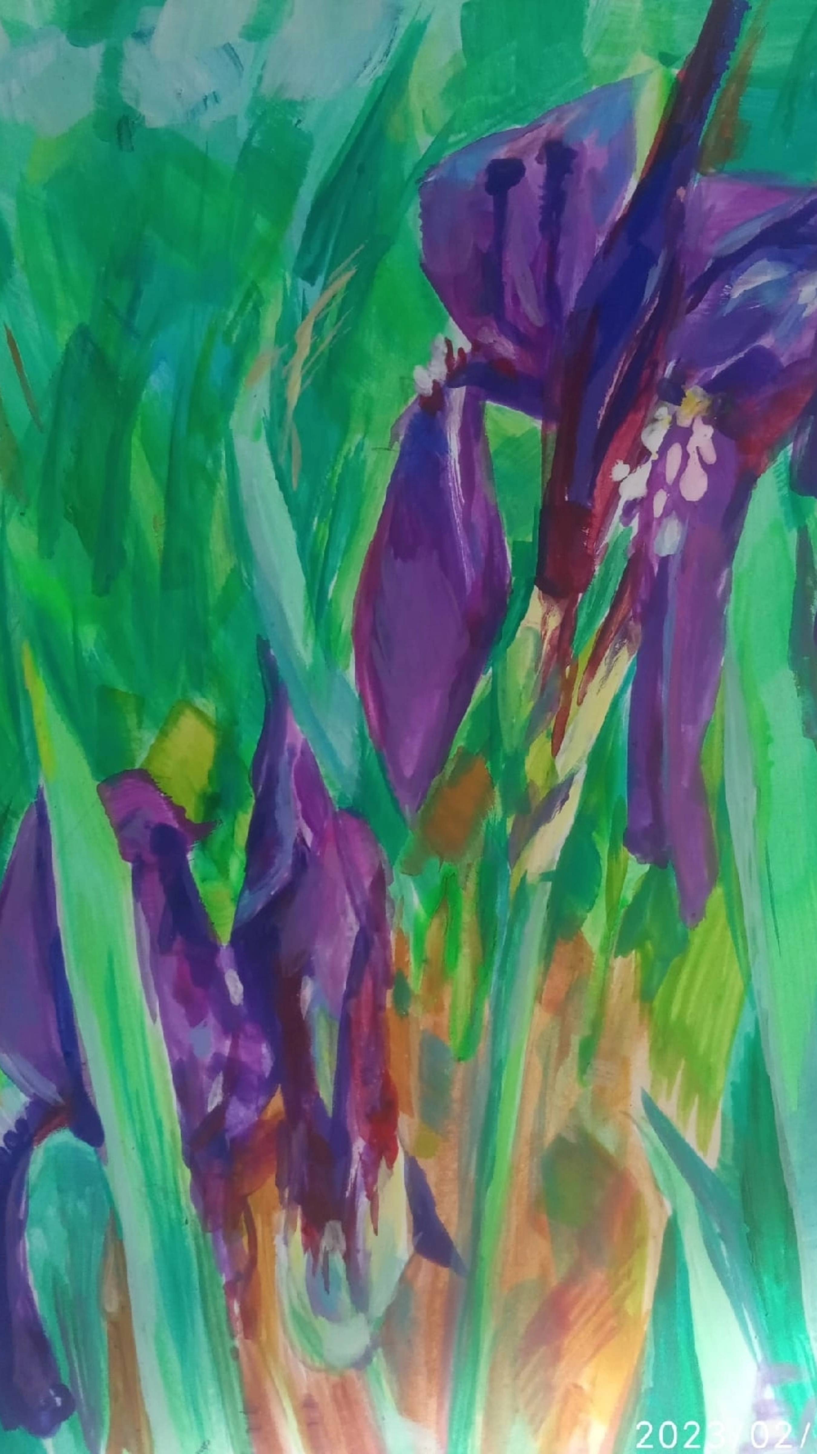 Ирисы.# АРТ, # живопись, # картины на заказ, # цветы.