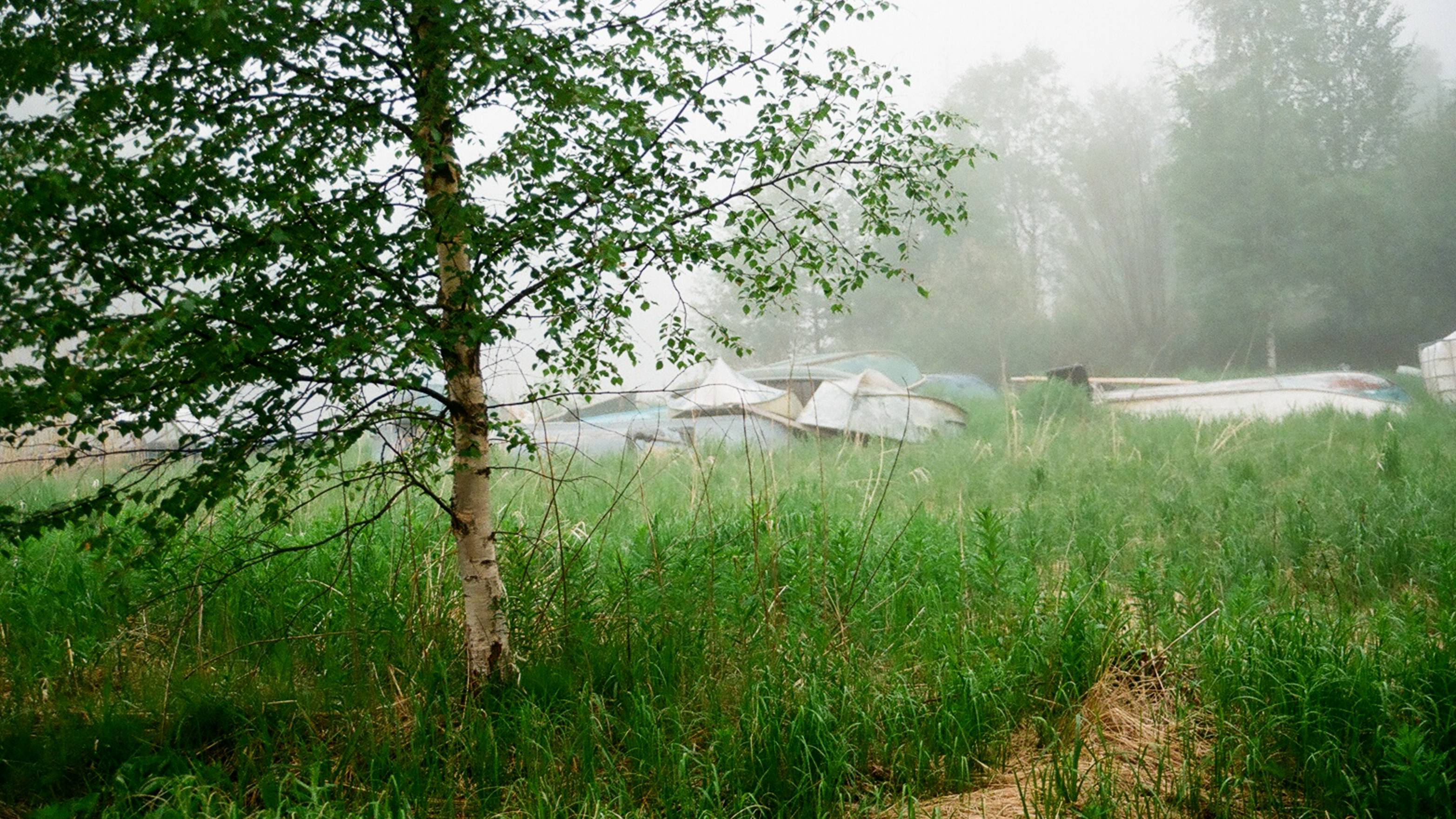 Музыка для сна и отдыха | "Чудесное тихое Счастье"