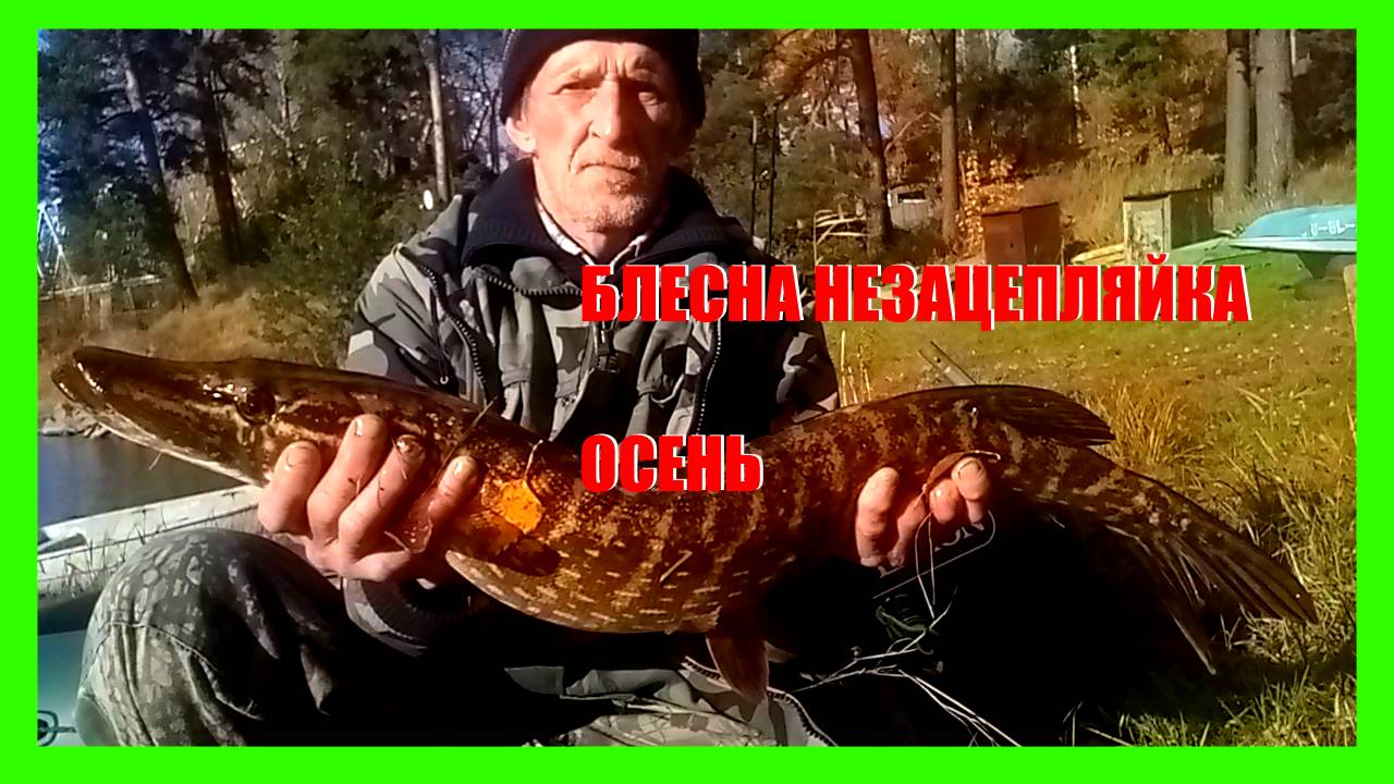 Самодельная блесна колебалка незацепляйка. Осенний трофей.