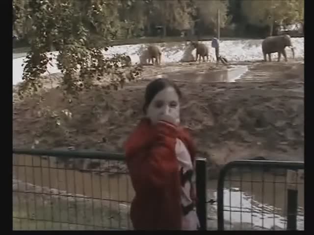 Тель  Авив.САФАРИ_15_12_12_г