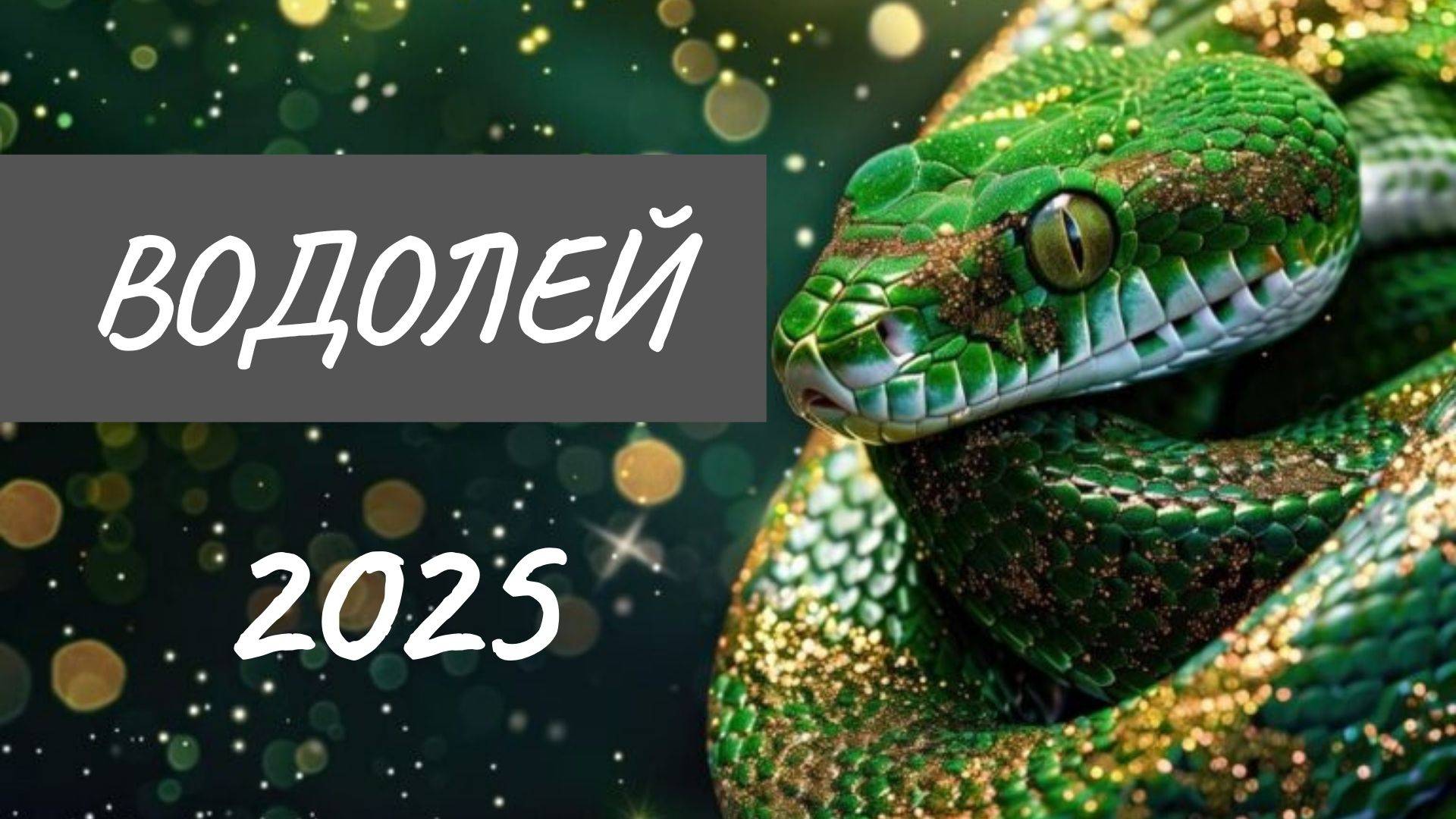 ВОДОЛЕЙ ♒ ТАРО-ПРОГНОЗ НА 2025 ГОД
