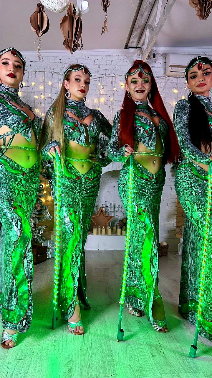 Символ года 2025 - шоу-балет @ART_SHOW_DANCE.mp4