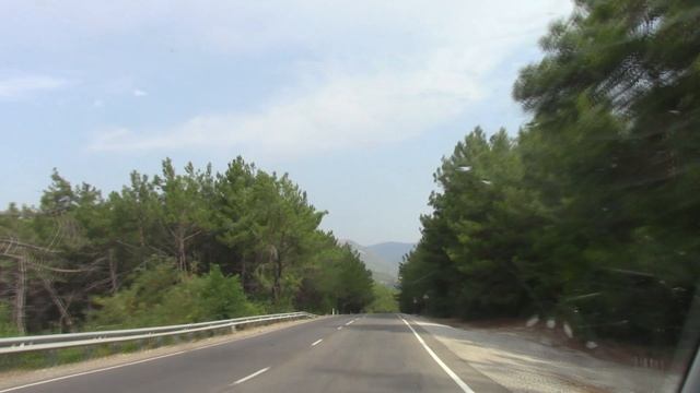 Дорога домой