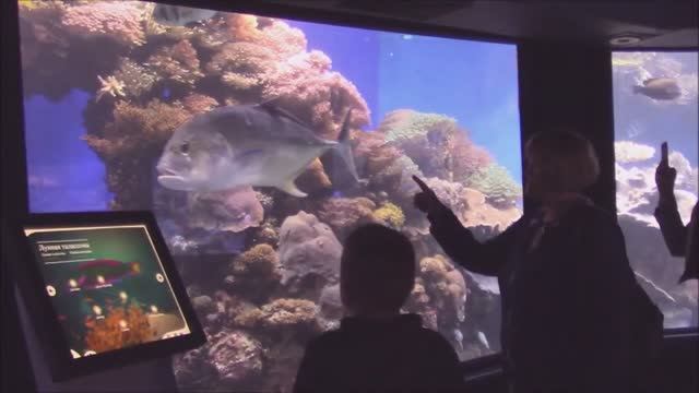 Эйлат  "Подводная обсерватория" 07.12.2018.