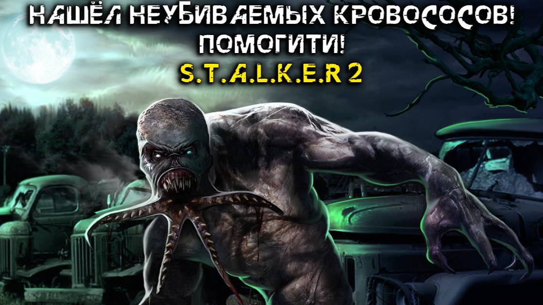 Нарыл артефакт и нашёл неуязвимых кровососов в Stalker 2/Сталкер 2 - Прохождение 8 часть