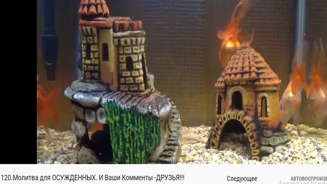 сюж 120 молитва для осужденных