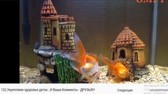 сюж 122 здоровье деток