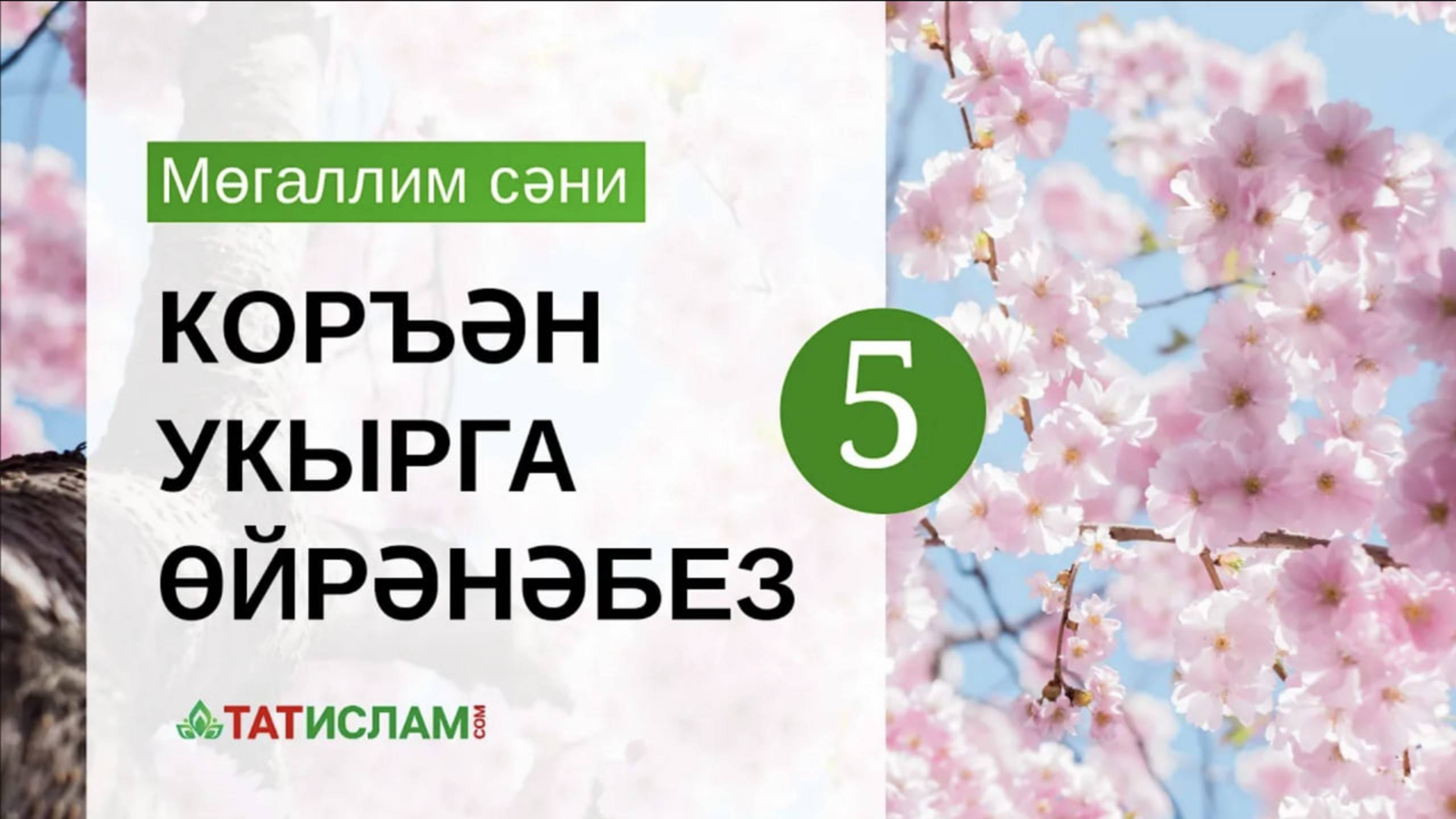 5нче дәрес. «Мим» хәрефе. Мөгаллим сәни. Тәҗвид белән Коръән укырга өйрәнәбез | Раил Фәйзрахманов