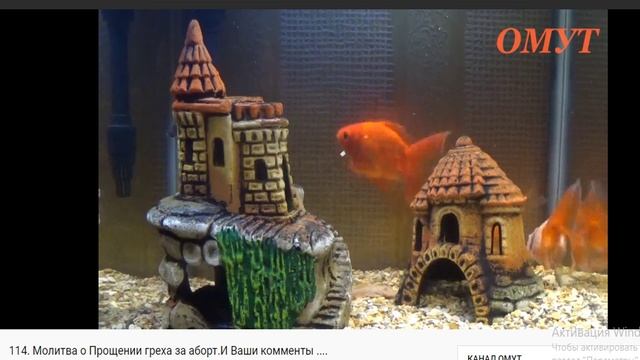 сюж 114 аборт